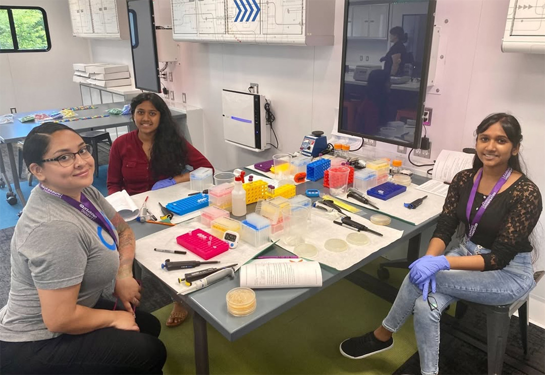 Mystery of the Crooked Cell - Learning Undefeated